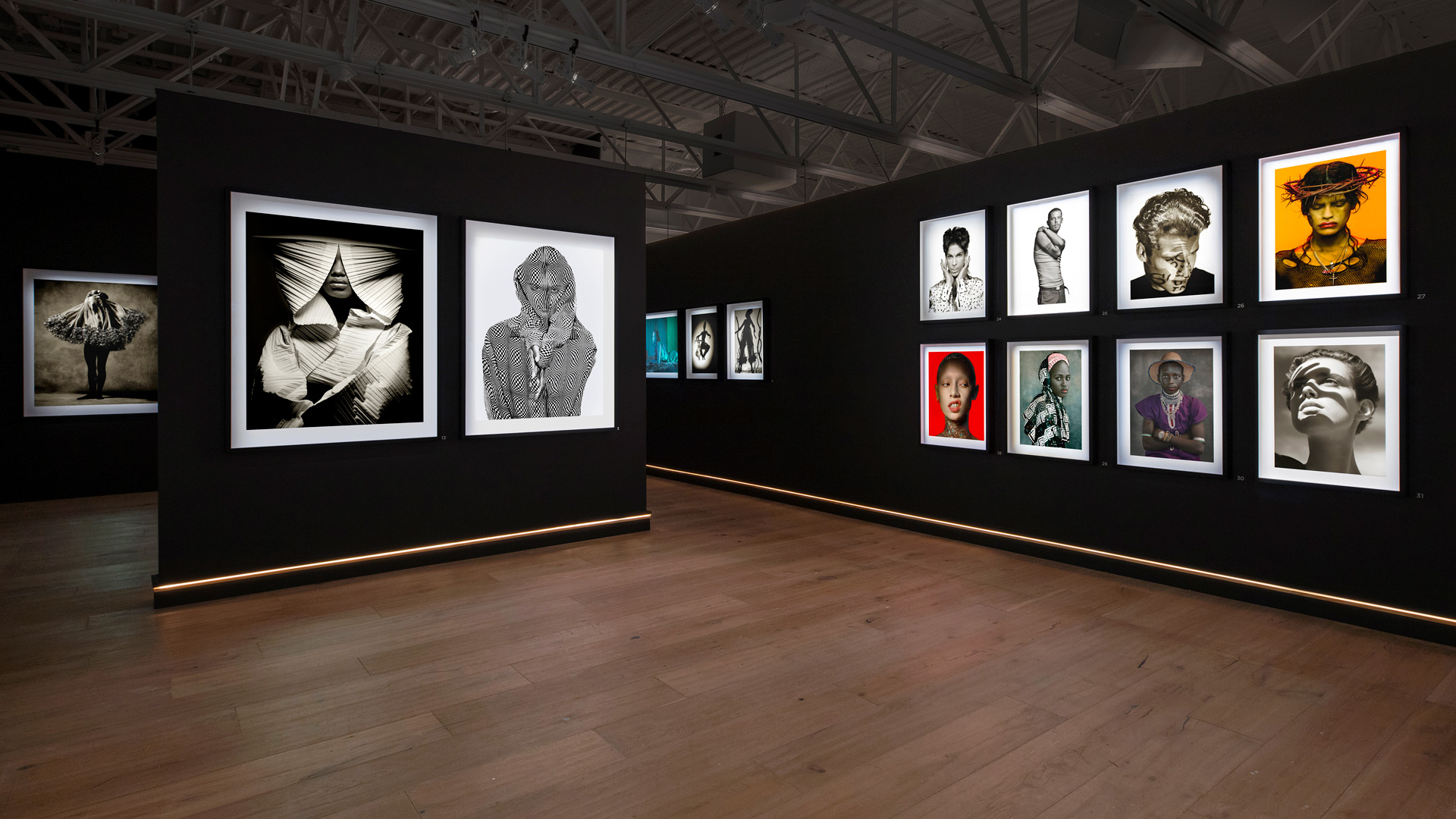 'Albert Watson: The Light Behind the Lens' | SCAD FASH Museum of ...
